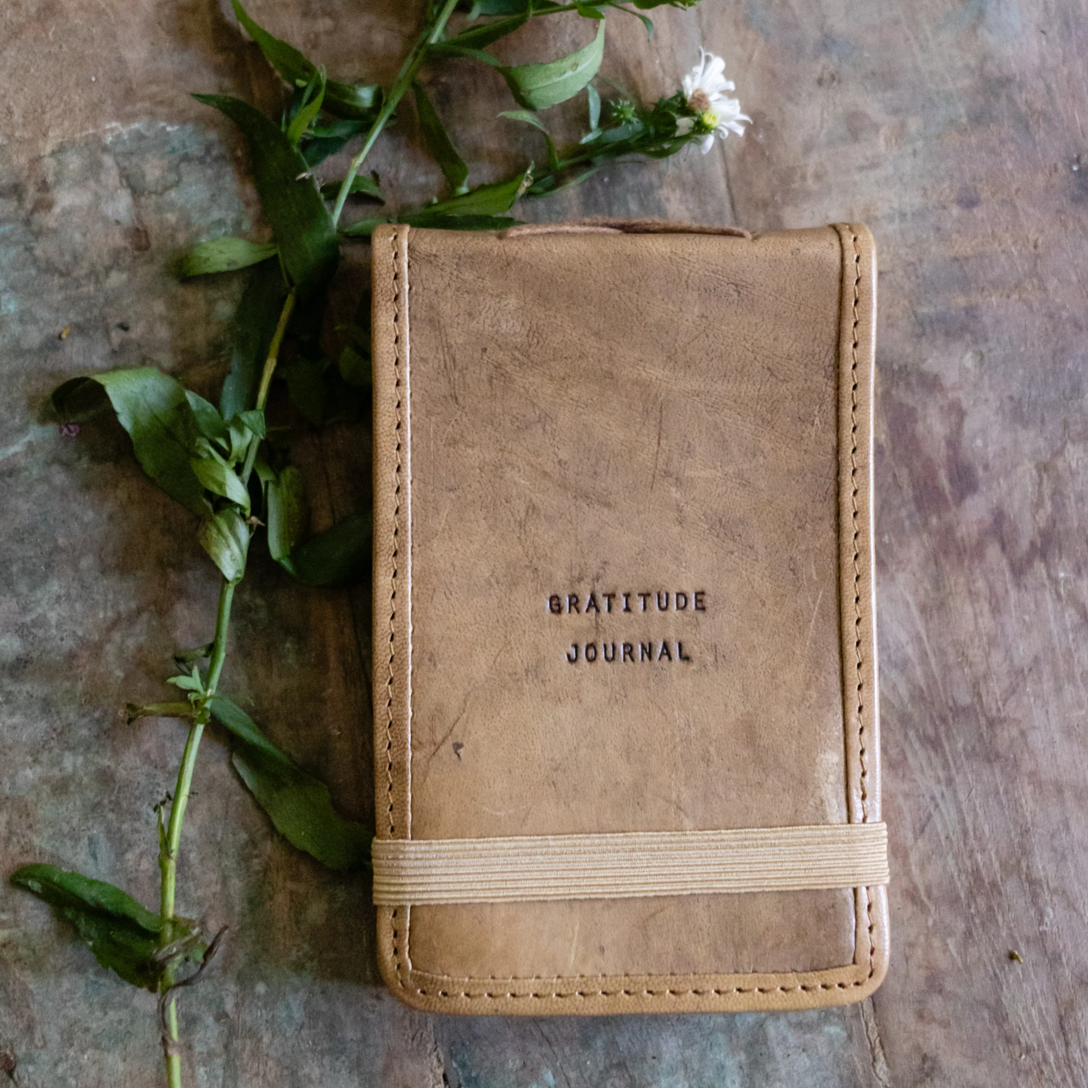 Gratitude Journal - Mini Leather Journal – Mellow Monkey