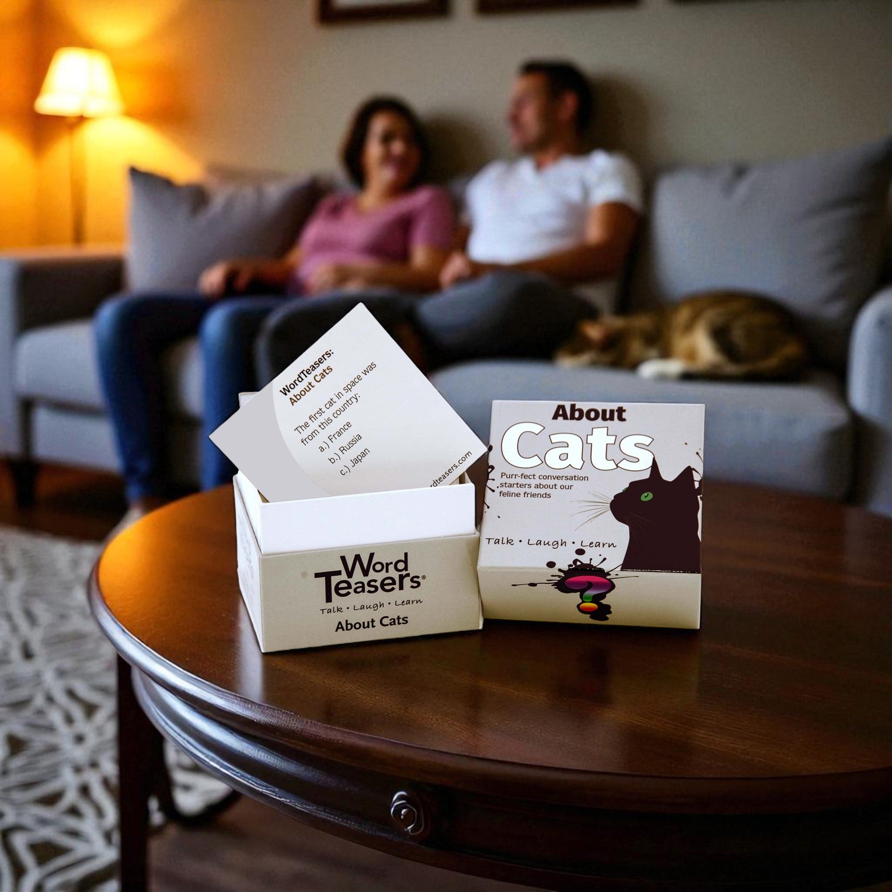 About Cats - Word Teasers – Mellow Monkey