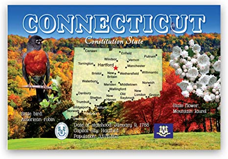 Connecticut Constitution State Vintage Post Card – Mellow Monkey