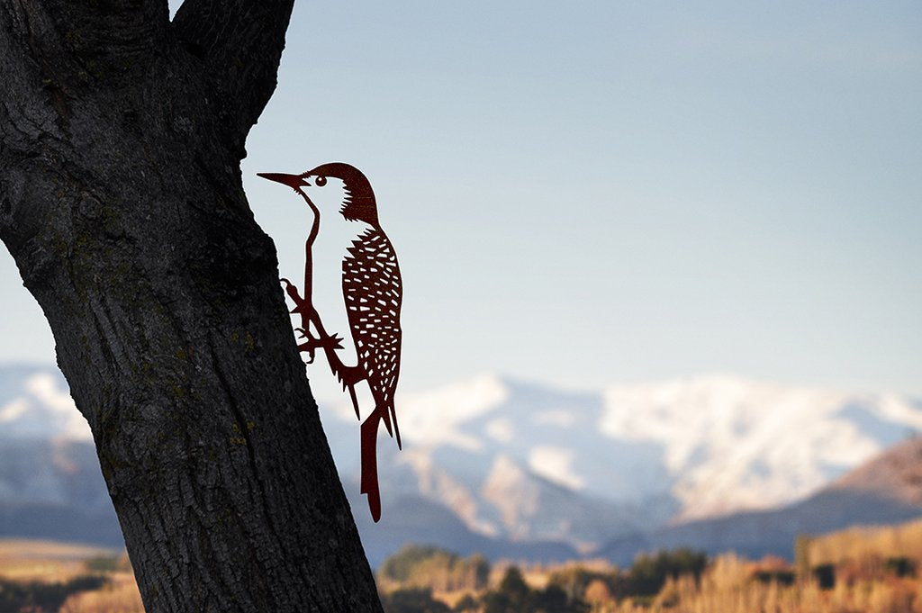 MetalBird - Woodpecker – Mellow Monkey