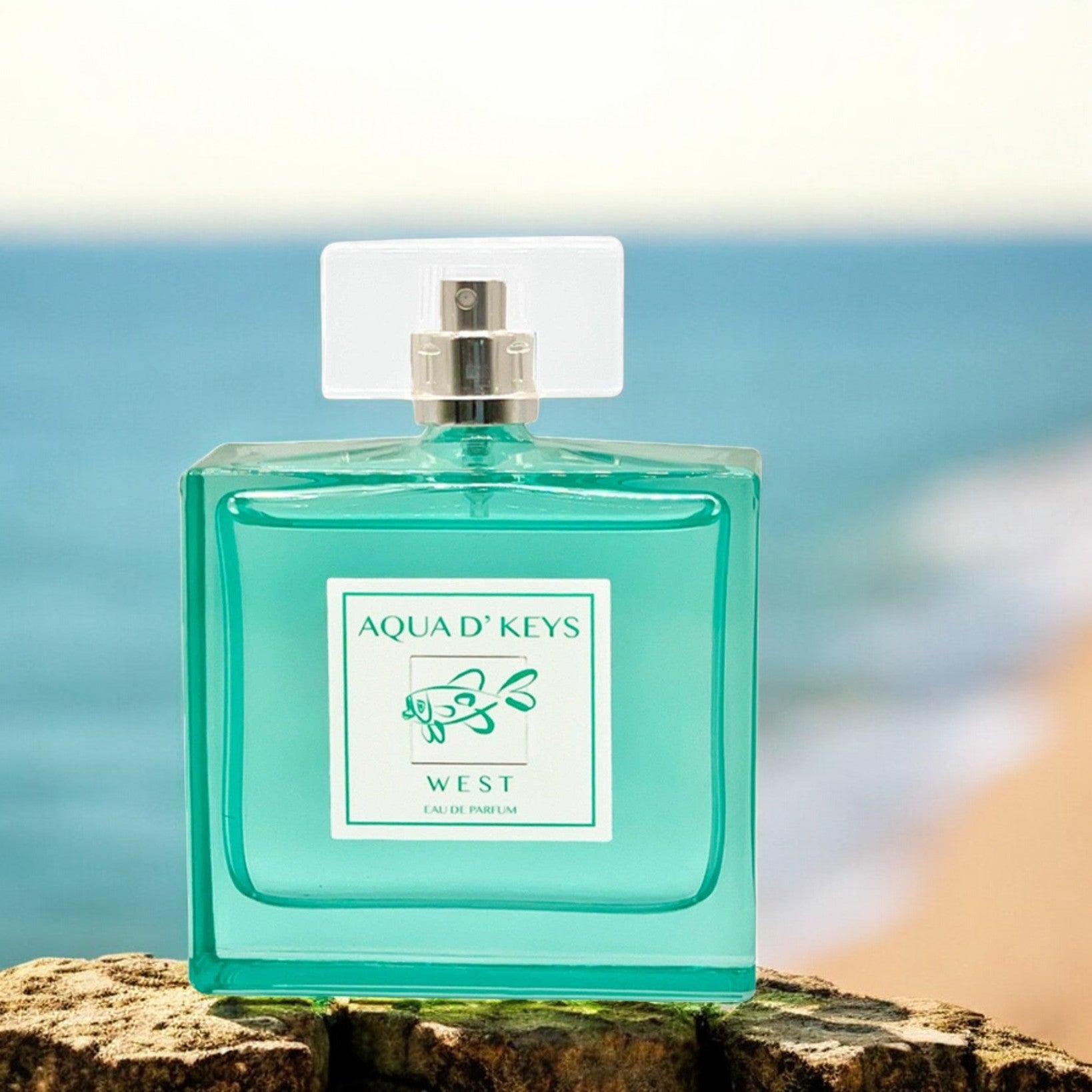 Aqua D' Keys West - Eau de Parfum - 1.7 fl oz – Mellow Monkey