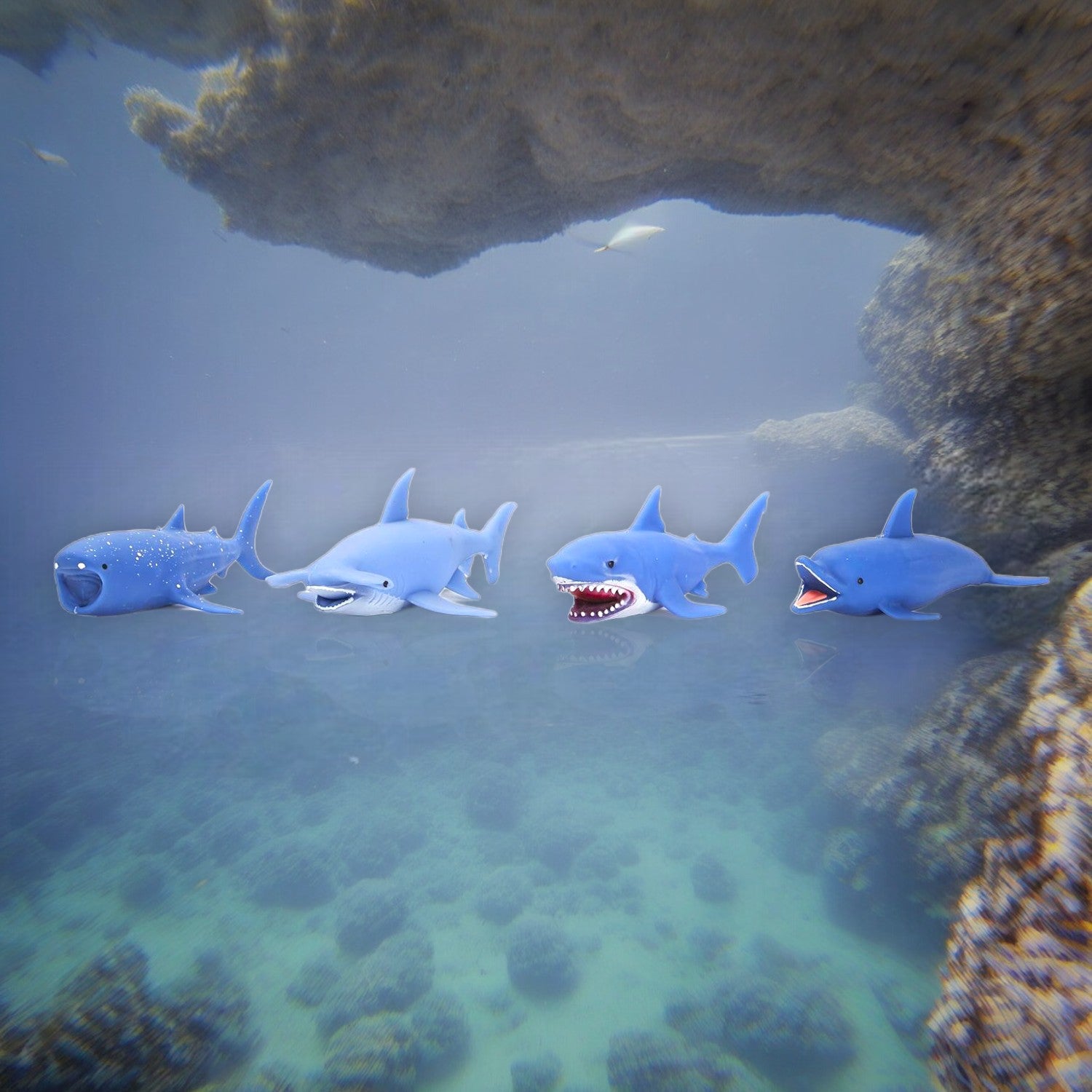 Stretch and Squeeze Fish Toy – Mellow Monkey