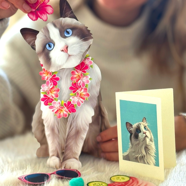 Ragdoll Cat - Freshcut Pop-Up Pet Greeting Cards – Mellow Monkey