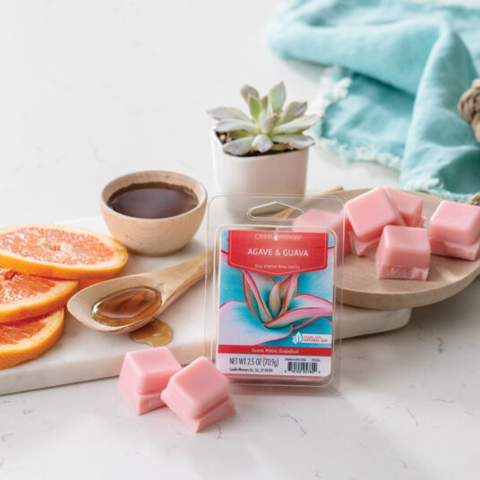 Agave & Guava Classic Wax Melts – Mellow Monkey