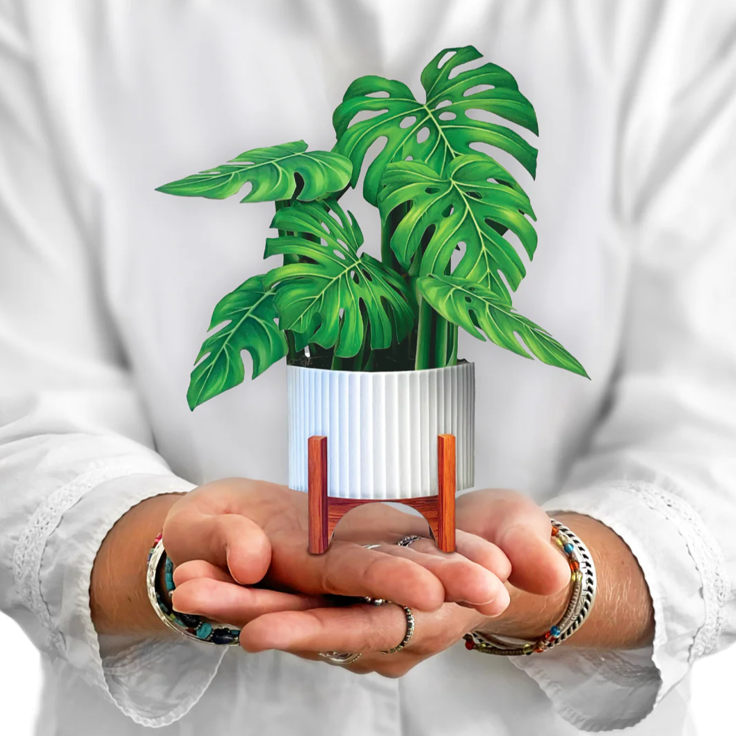 Freshcut Mini Monstera Pop-Up Greeting Card – Mellow Monkey