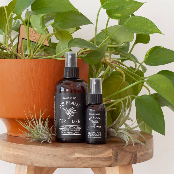 Air Plant Fertilizer – Mellow Monkey
