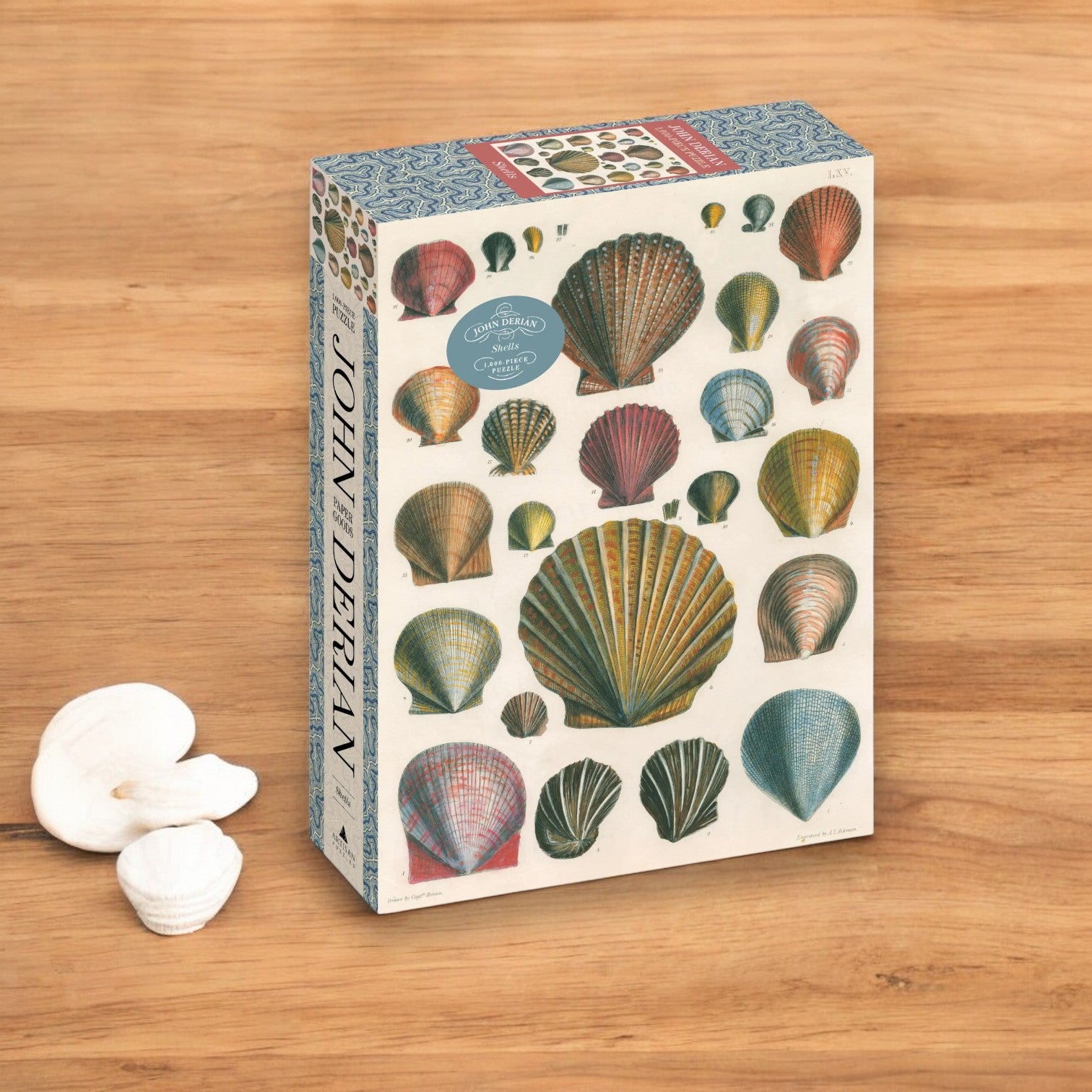 Shells - 1,000-Piece Jigsaw Puzzle – Mellow Monkey