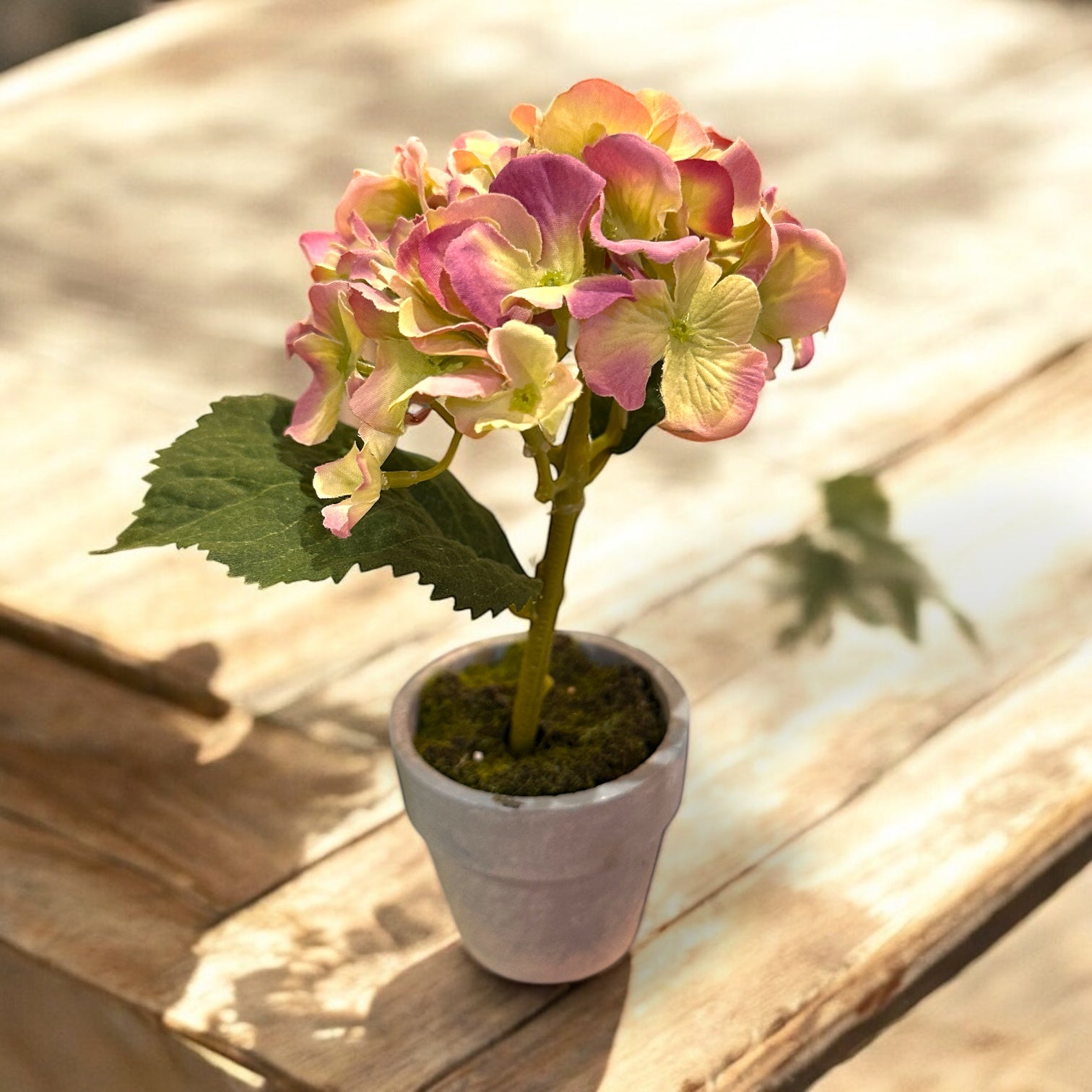 Faux Potted Pink and Green Hydrangea - 6-in – Mellow Monkey