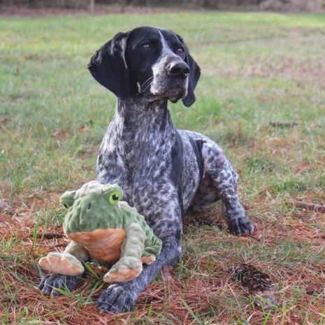 Plush Animated Frog Plush Dog Toy with Squeaker - 9-in – Mellow Monkey