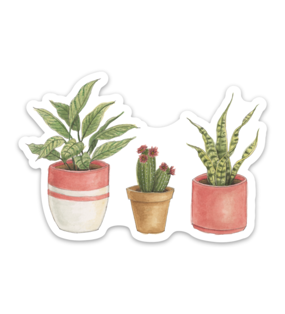 Potted Plants Sticker – Mellow Monkey