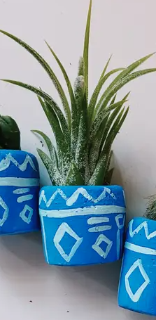 Azul Mini Plant and Planter – Mellow Monkey