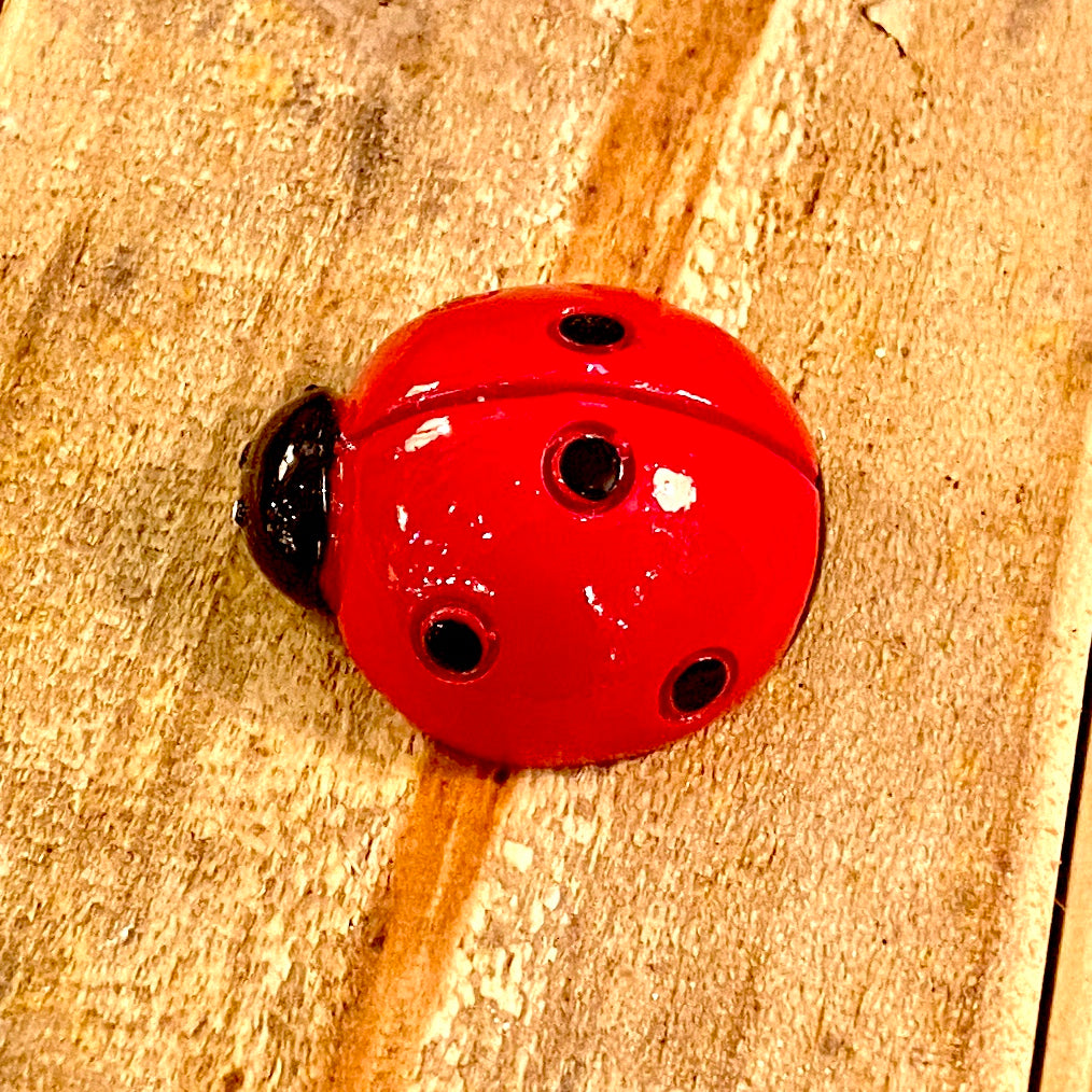 Mini Ladybug - 1-3/8-in – Mellow Monkey